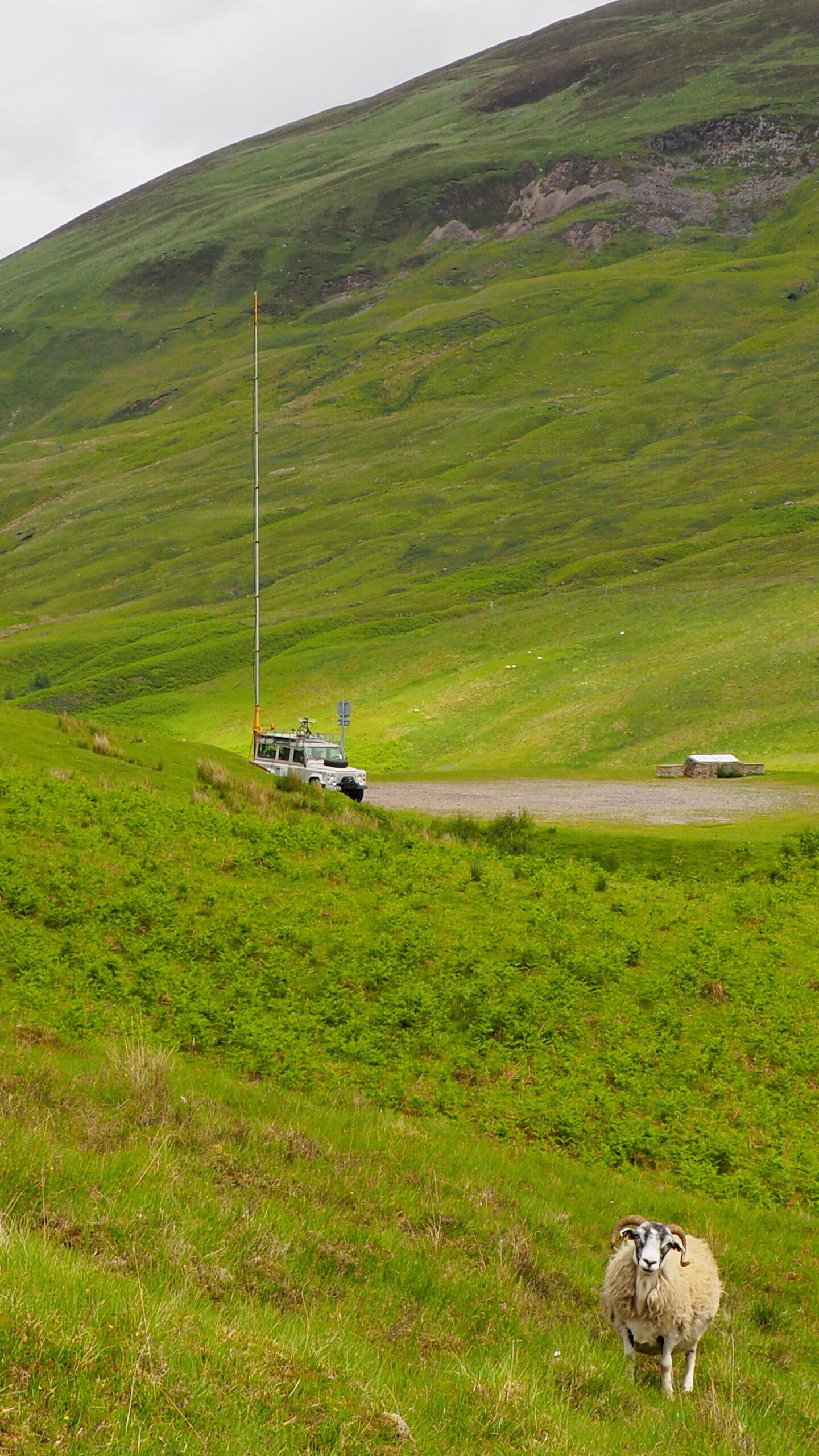 Shared Rural Network progresses following Carrier Wave Testing – Shared ...